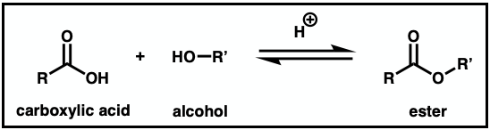 Fischer Esterification – Intermediate Organic Chemistry Lab Manual